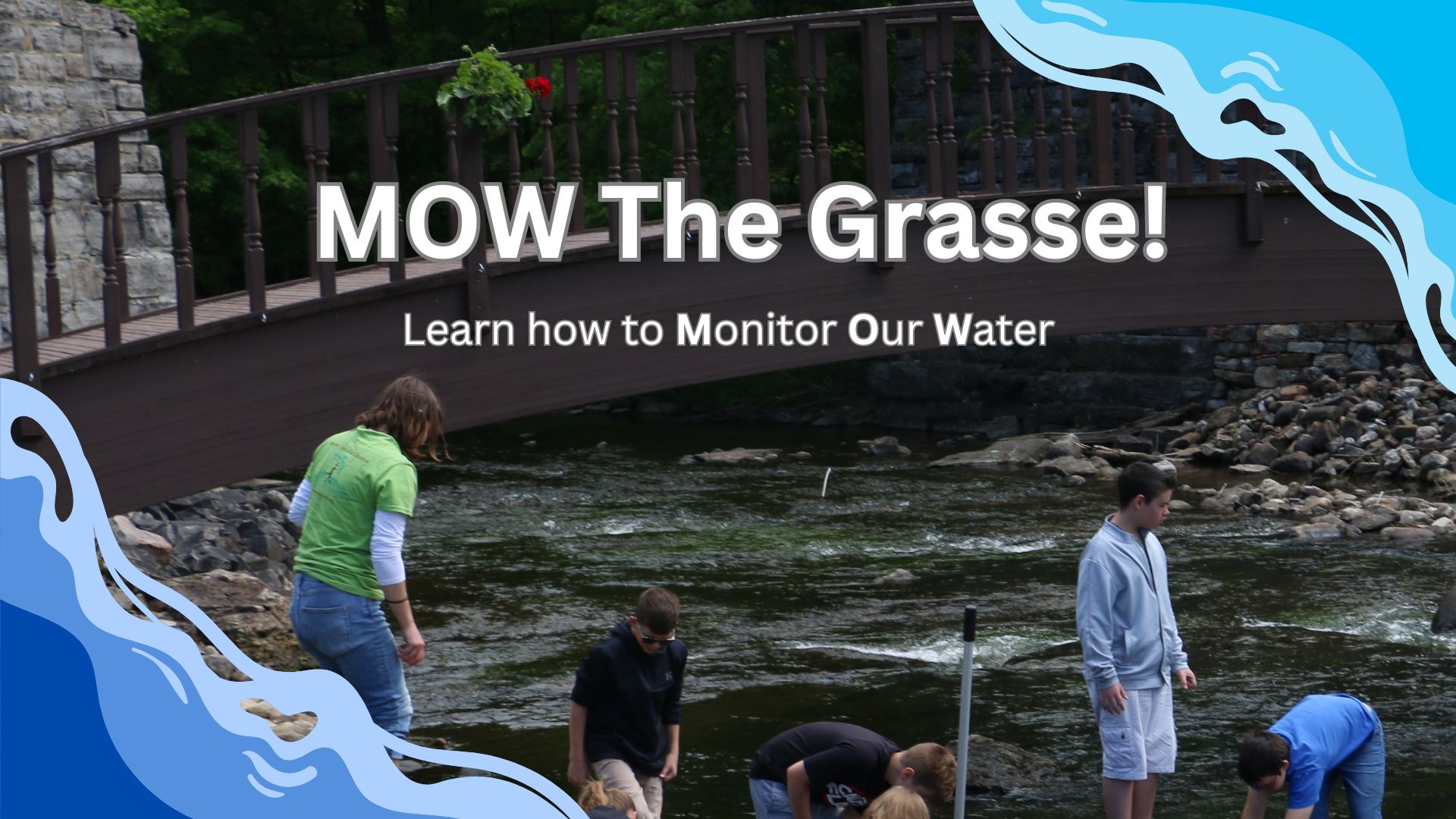 Community Science Workshop - MOW the Grasse! | Nature Up North