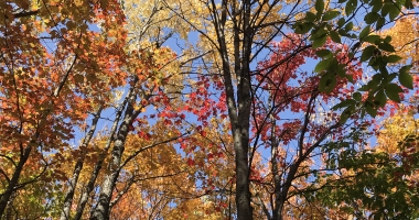 Get out there . . . | Nature Up North