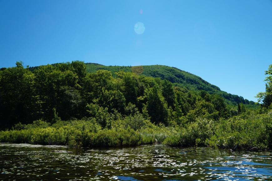 DeBar Pond,Duane | Nature Up North