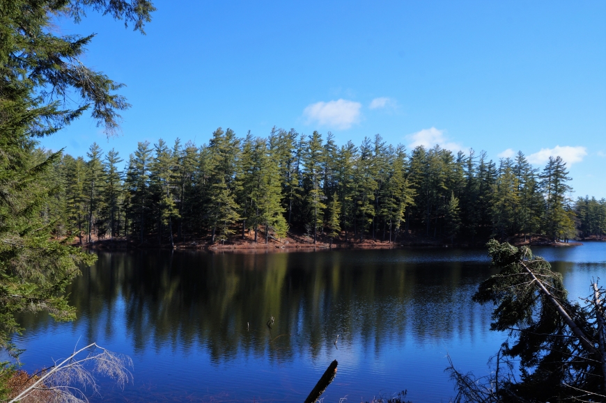Horseshoe Pond in Gale (Piercefield) NY. | Nature Up North