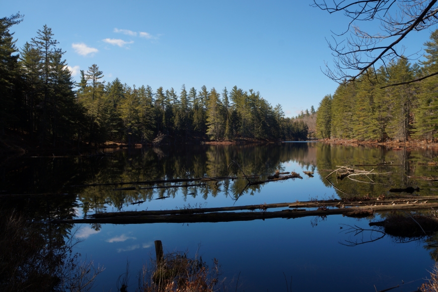 Horseshoe Pond in Gale (Piercefield) NY. | Nature Up North