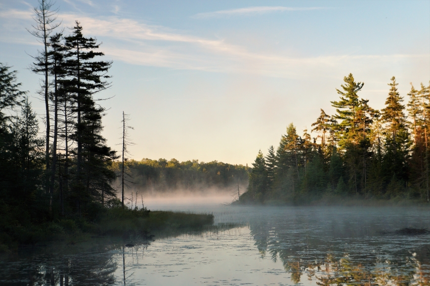 A foggy morning on Streeter Lake | Nature Up North