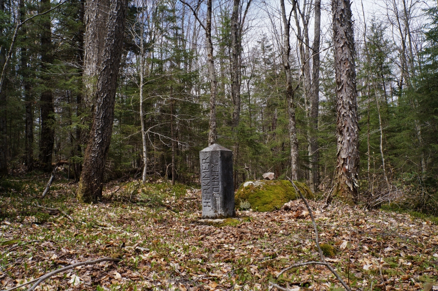 Colvin’s Great Corner- Aldrich NY | Nature Up North