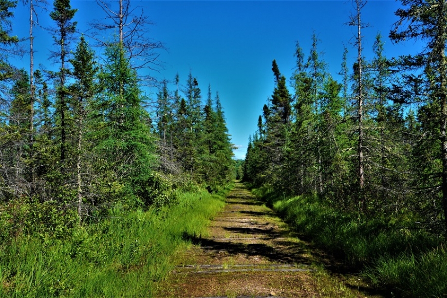 Grasse River Rail Road | Nature Up North