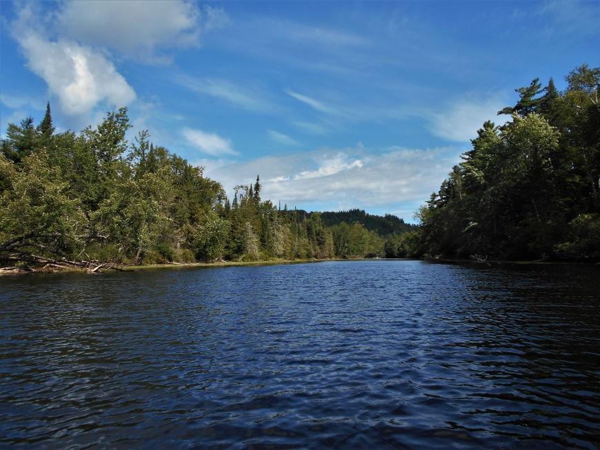 Raquette River Paddle | Nature Up North