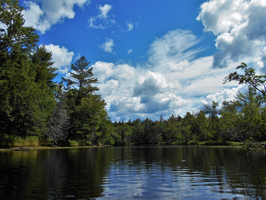 Raquette River Paddle | Nature Up North