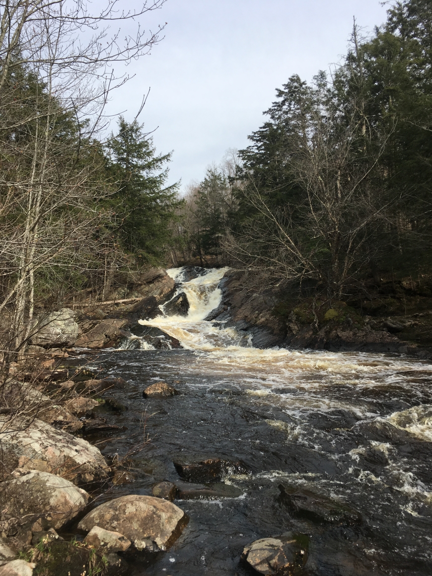 Spring hike with friends at Harper Falls | Nature Up North
