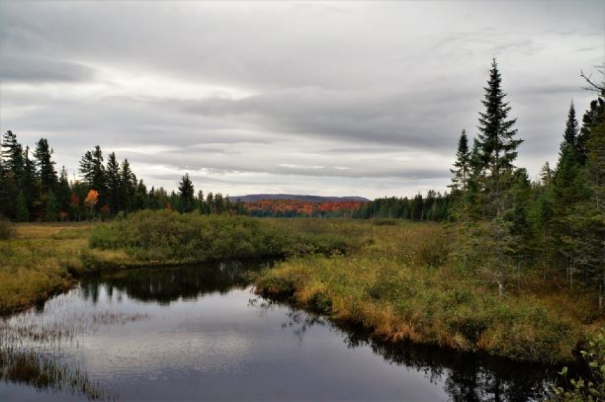 Grasse river rail road trail | Nature Up North