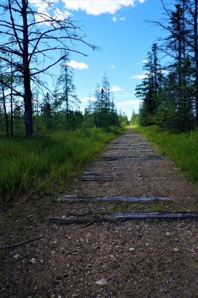 Grasse River Rail Road | Nature Up North