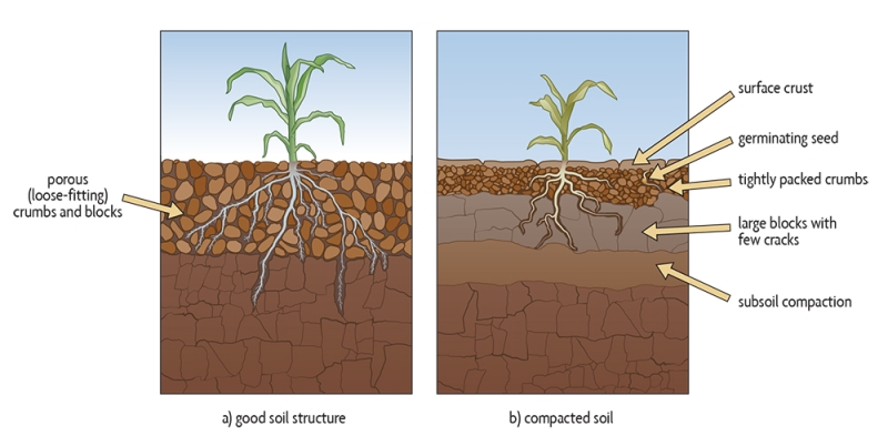 On the Importance of Dirt | Nature Up North